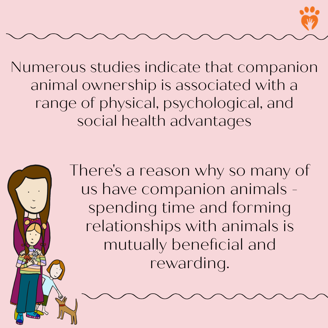 Companion animals & mental health - Lucy's Project