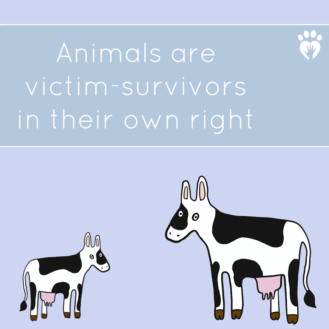 Animals are victim-survivors in their own right - Lucy's Project