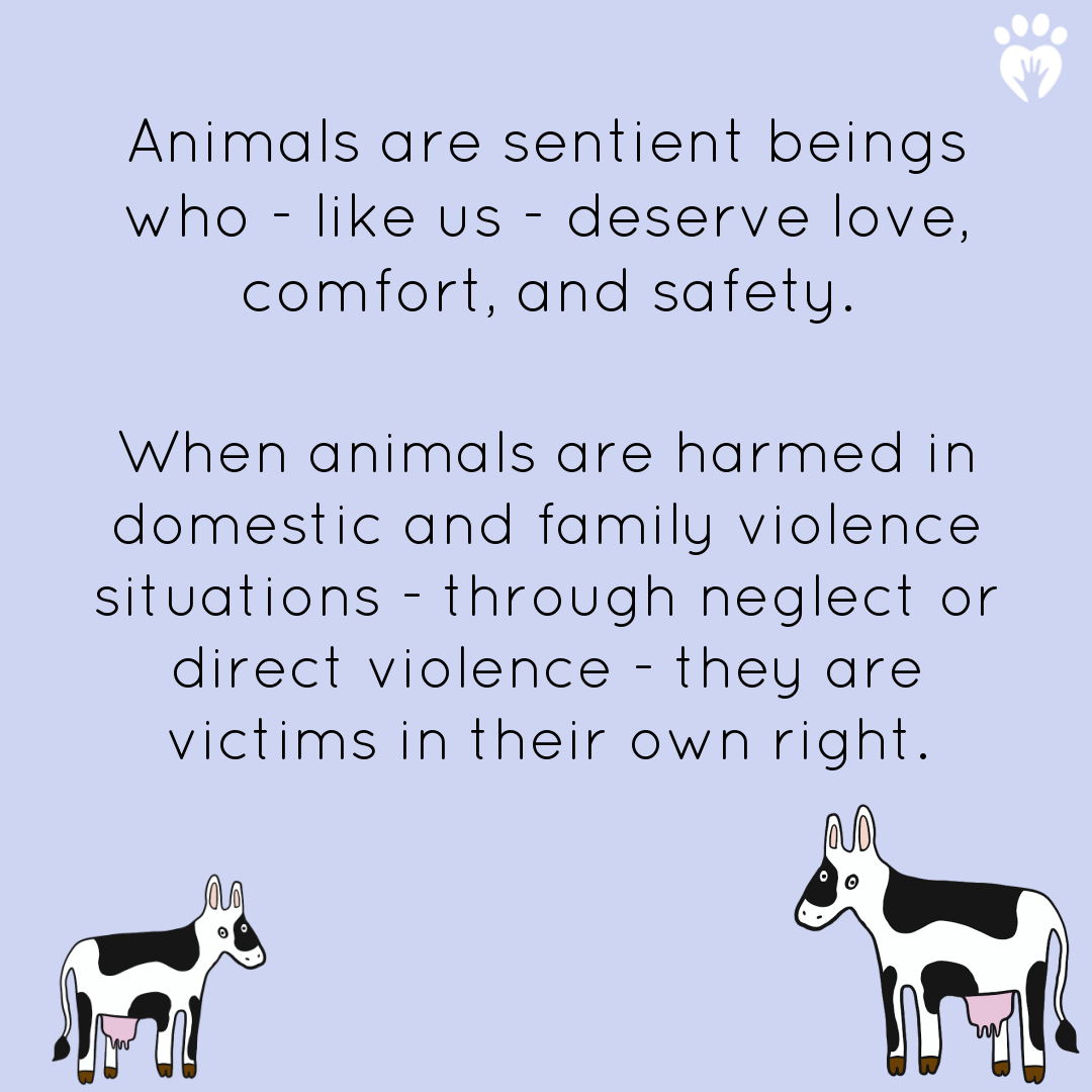 Animals are victim-survivors in their own right - Lucy's Project